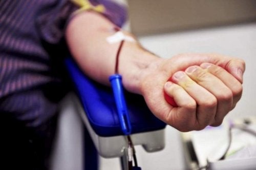 Hoe je beenmergdonor kunt worden - BESCHERMT UW GEZONDHEID